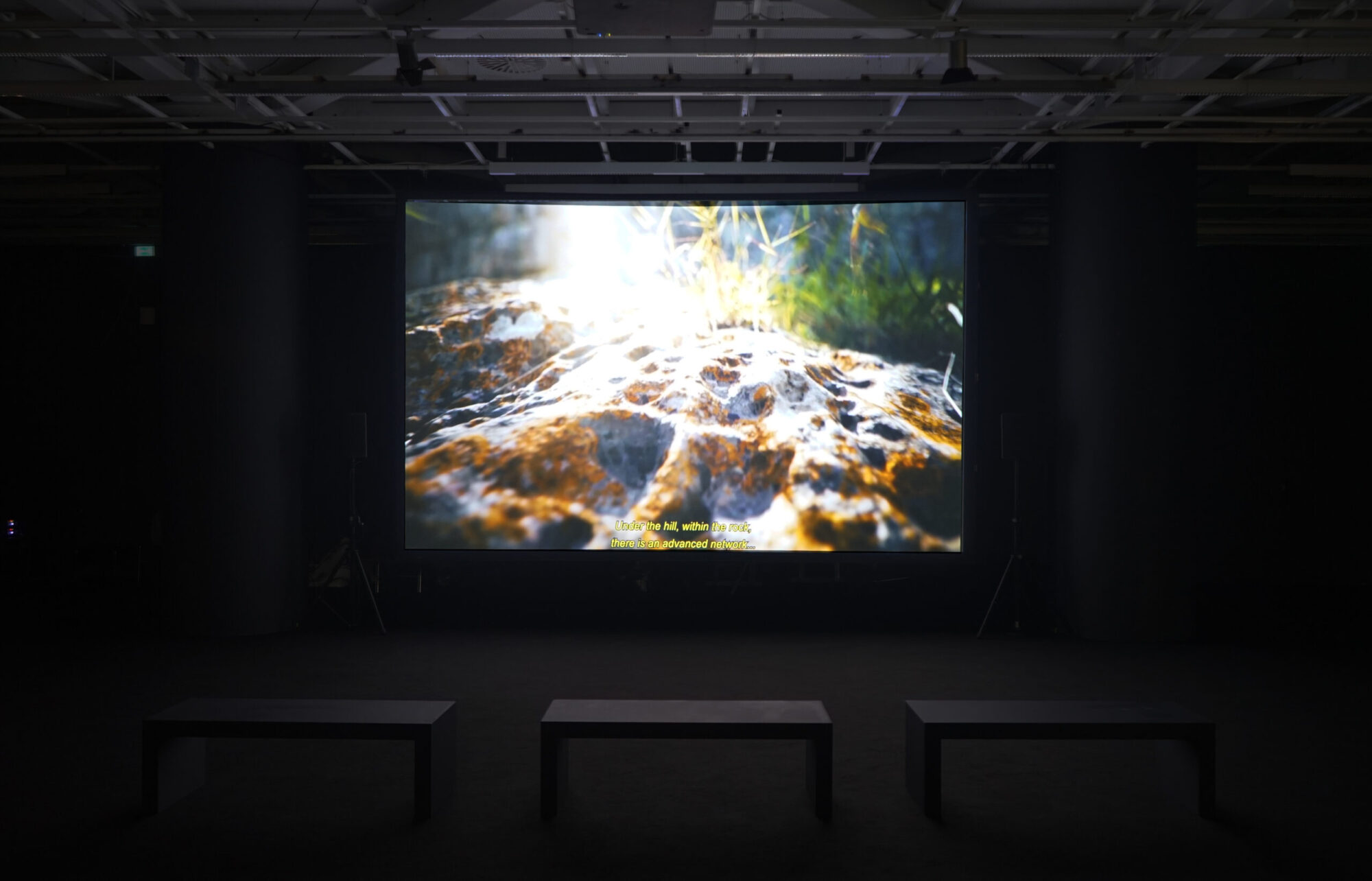 KYRIAKI GONI | "DATA GARDEN" - artworks